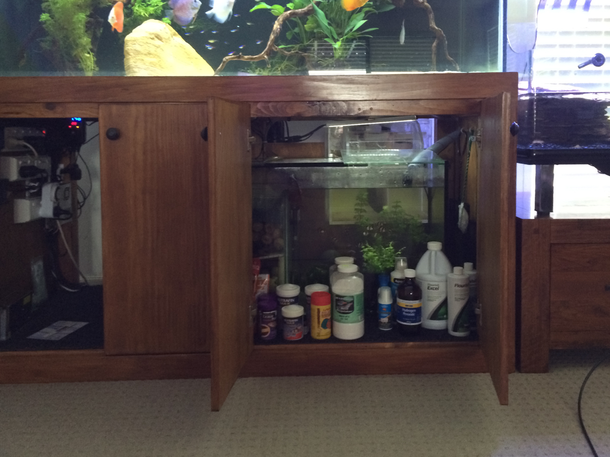 My Discus/community Setup - Advise welcome - SimplyDiscus